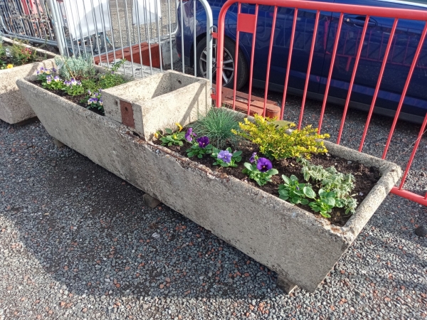 Cast Concrete Planter / Trough 2420mm x 590mm C/w Plants (ref No.1 ...